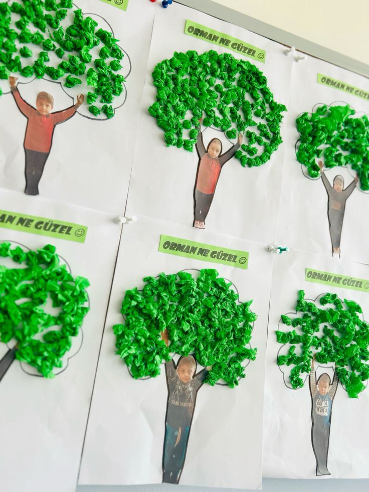 Creative and Educational Activities for Tree Day - Preschool and ...