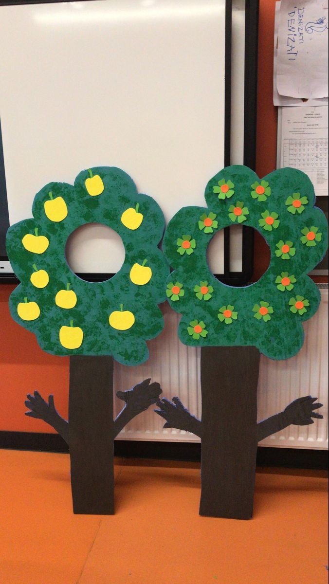 Educational Activities for Tree Day - Preschool and Primary - Aluno On