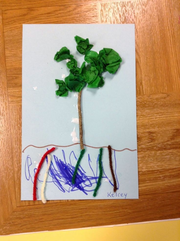 Educational Activities for Tree Day - Preschool and Primary - Aluno On