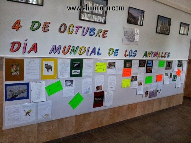 34 Ideas de murales para el día de los animales - Preescolar y Primaria ...