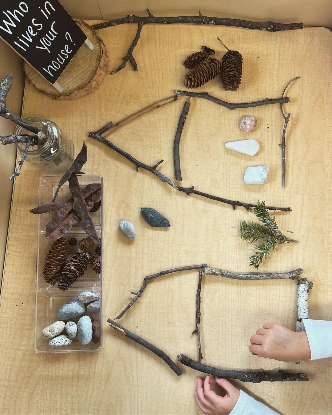 Artistic Ideas with Natural Materials - Preschool and Primary - Aluno On