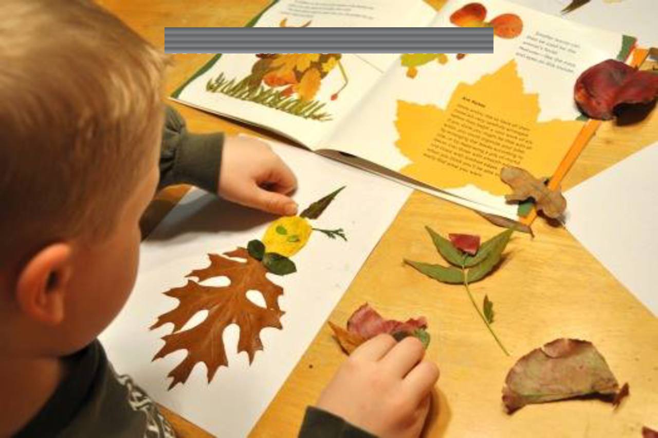 63 Activities with leaves and seeds - Preschool and Primary - Aluno On