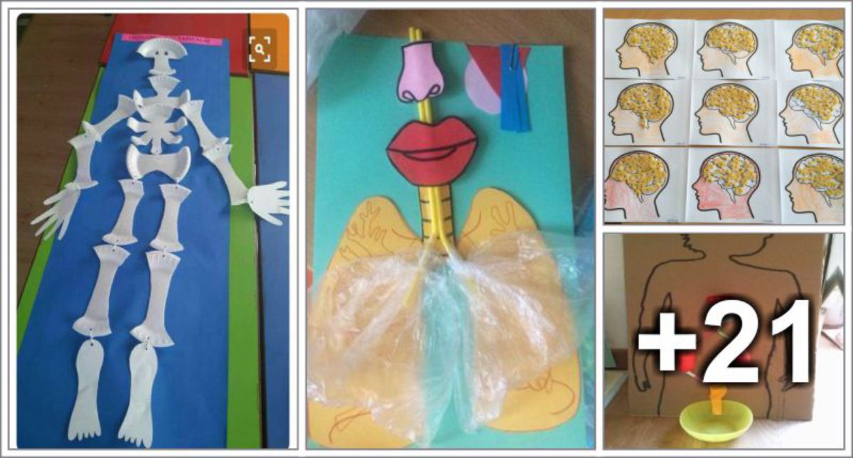 25 Body Parts Crafts Ideas Preschool And Primary Aluno On 25 Body Parts Crafts Ideas Preschool And Primary Aluno On